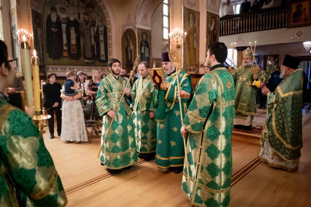 The Feast of Palm Sunday in Chicago - Diocese of the Midwest